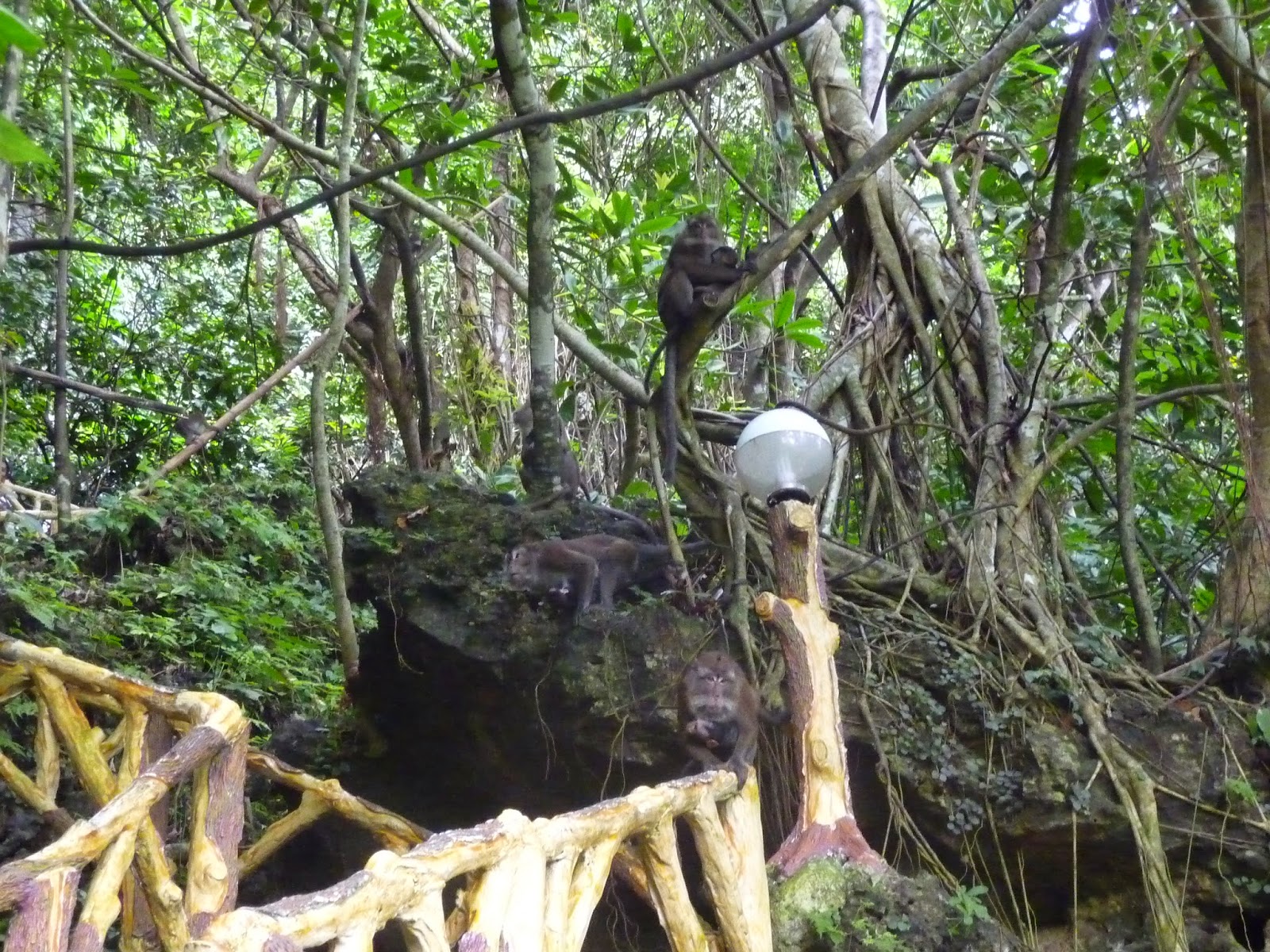 Leyte Places: Hindang Caves and Wild Monkeys