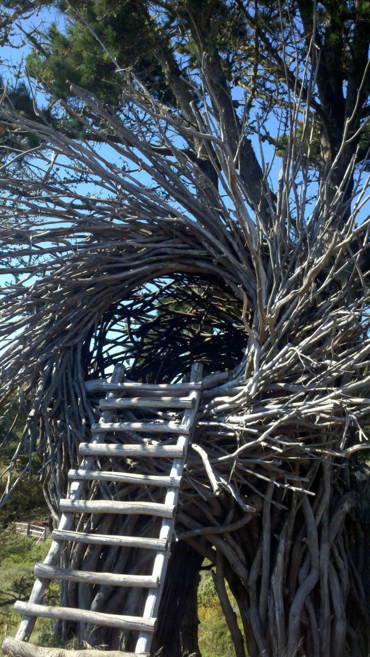 Ecovillage Musings: Dreaming of Building a "Human Nest" at Dancing ...