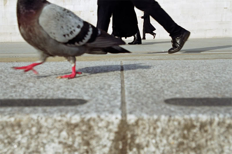 Matt Stuart: Modern Street Photography