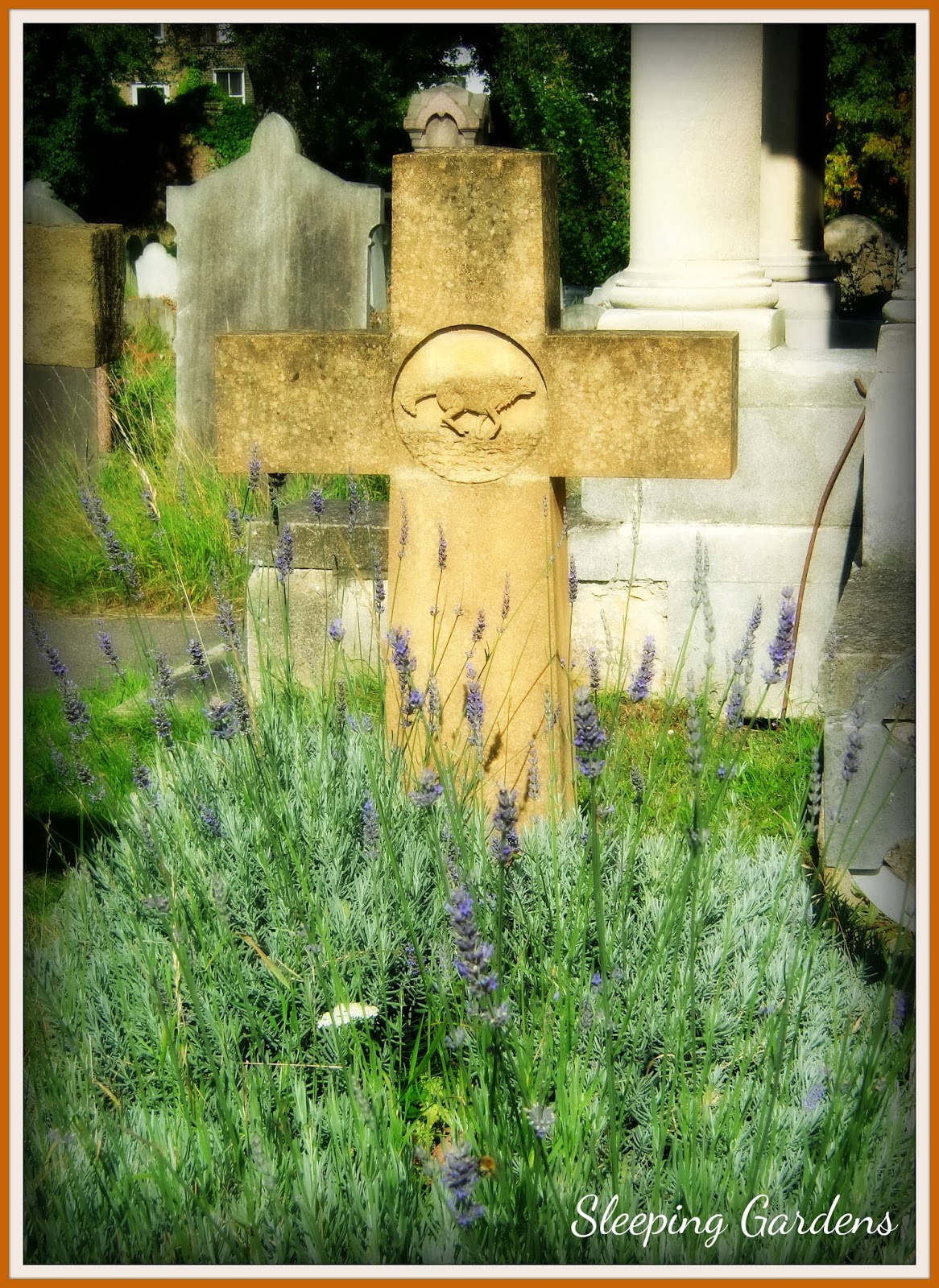 Sleeping Gardens: Sioux Chief Long Wolf ~ Returned Home