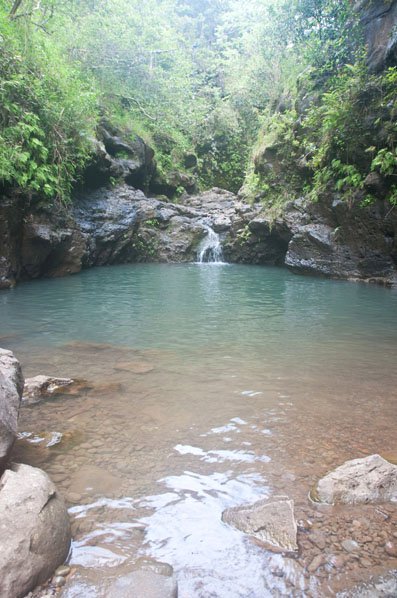 HikeOneHikeAll Hawaii: Waimano Pool and Falls