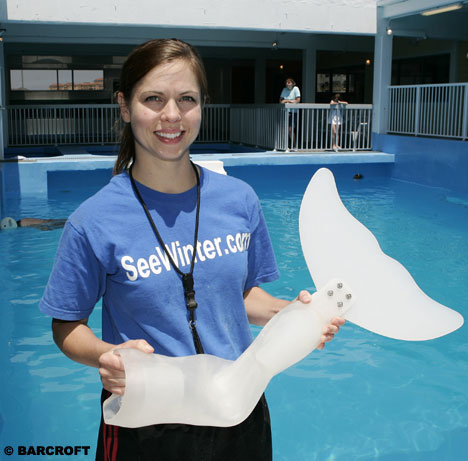 Council of Disabled Animal Friends: Winter the Dolphin - World's First ...