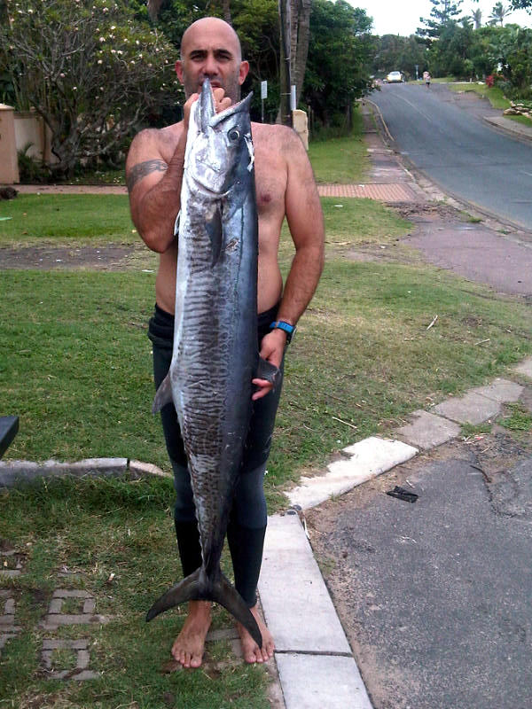 Coatesman's Spearfishing & Waterman's Blog: The Legend of the Christmas ...