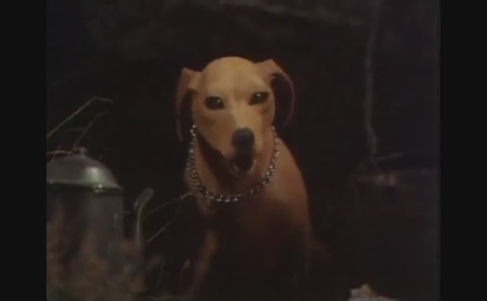 Urânia - José Galisi Filho: Mr. Neutron - The Most Dangerous Man in the ...