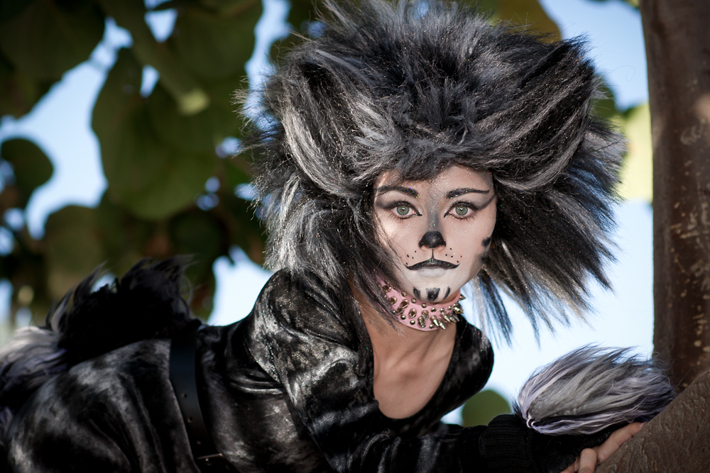 Zorian's Blog: Kai The Cat