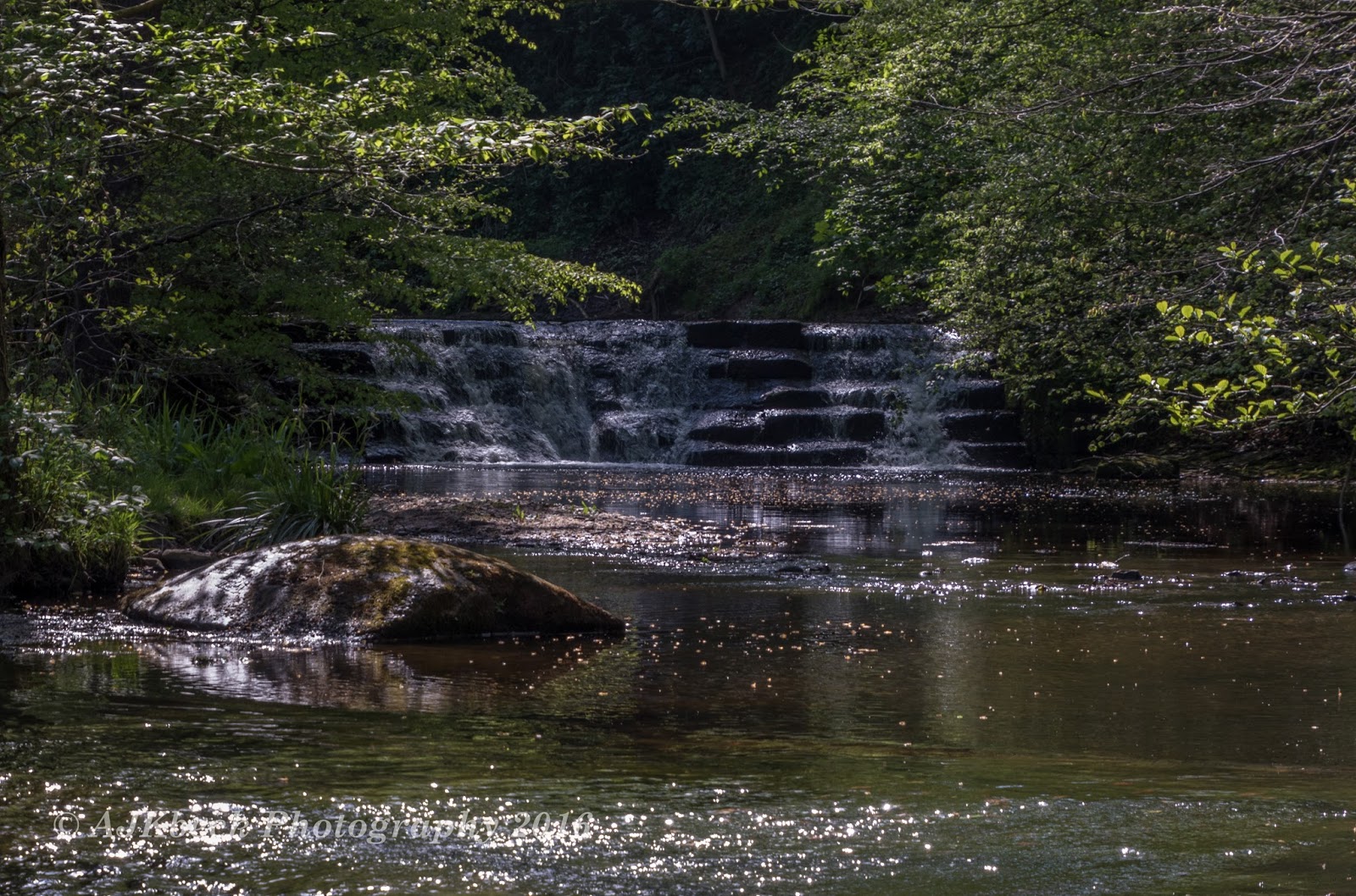 Yorkshire Waterfalls: Upper River Rye Falls