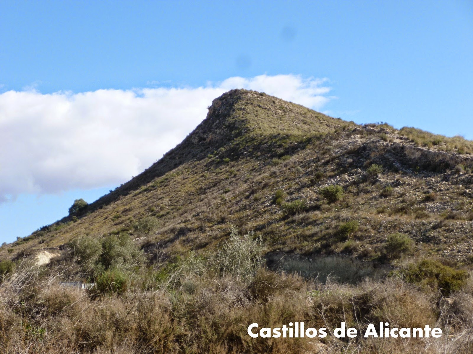 Alicante Digital ♥ - POBLADO AMURALLADO DE LLOMA REDONA