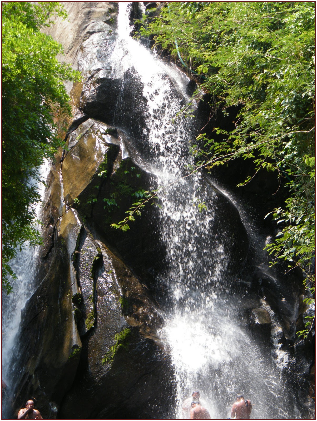 പ്രകൃതിയിലേക്ക് ഒരു യാത്ര ...a travel towards NATURE ...
