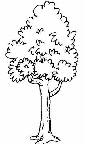 Sekitar Kawasan Sekolah: Gambar Outline_Bunga Pokok