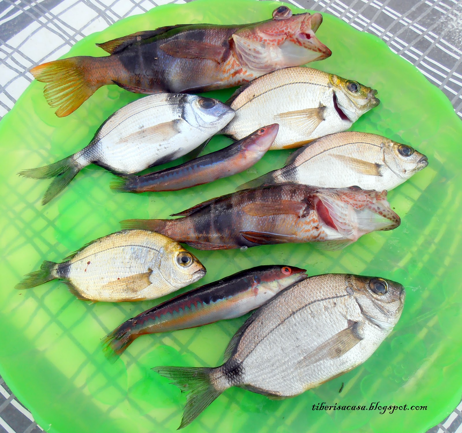 TIBERIS : ~~ Caldera de peix roquer ~ Sopa de pescadores con pescado de ...