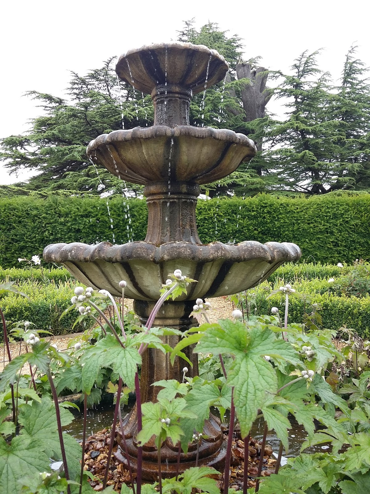 An enchanted flower garden ...