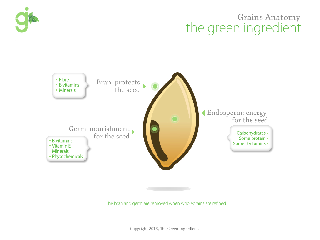 The Green Ingredient: Grains Anatomy