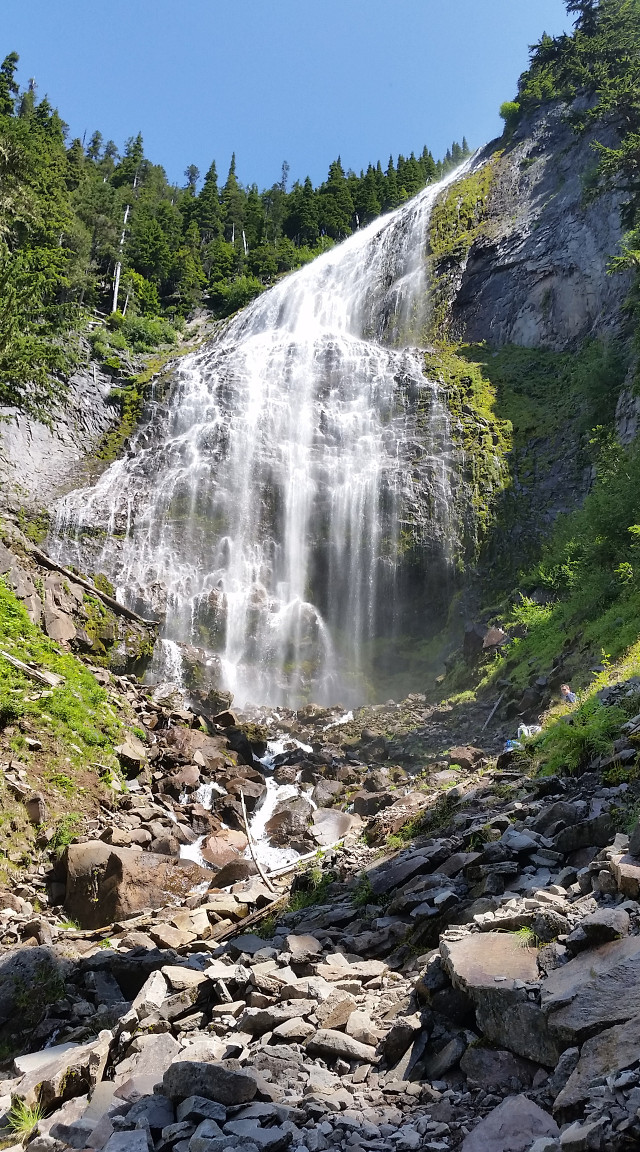 Spray Park Ipsut Pass loop - 1 Reviews