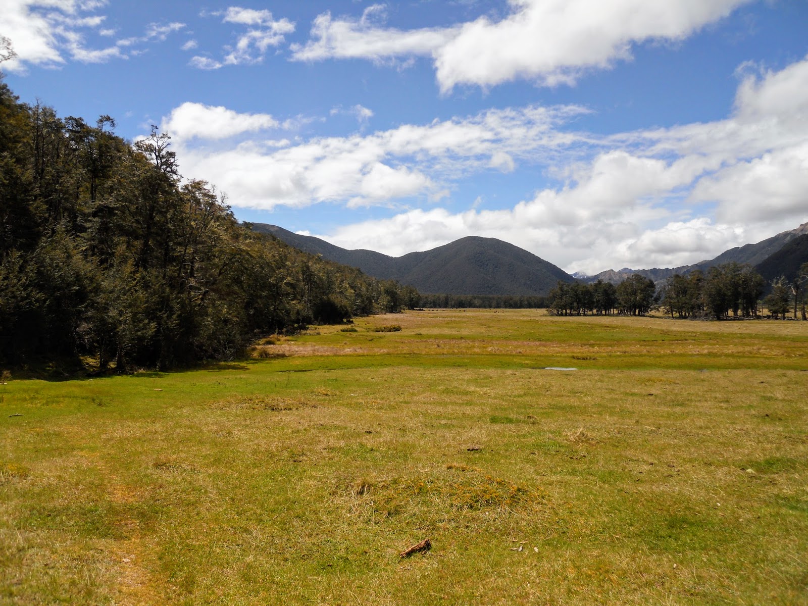Tramping in the New Zealand backcountry: NZ Bush Adventures: Boyle ...