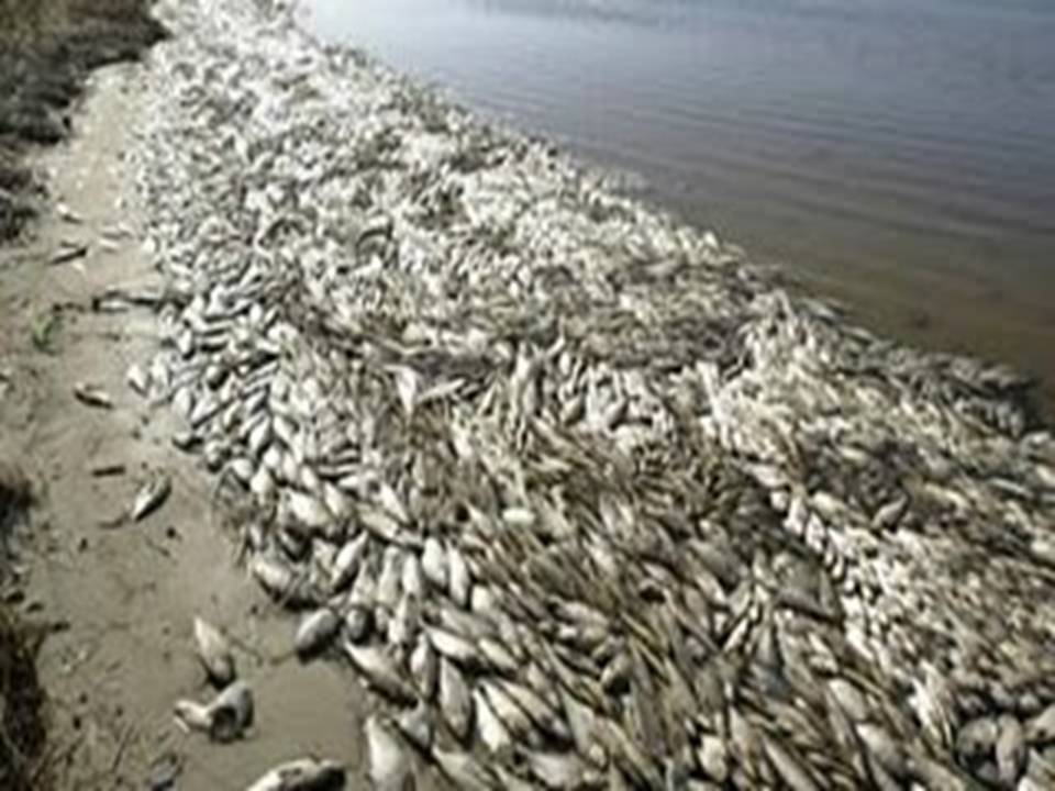 ΣΧΟΛΙΚΕΣ ΔΡΑΣΤΗΡΙΟΤΗΤΕΣ ΔΙΕΥΘΥΝΣΗΣ Β΄/ΘΜΙΑΣ ΕΚΠ/ΣΗΣ Ν. ΛΑΡΙΣΑΣ: Γενικό ...
