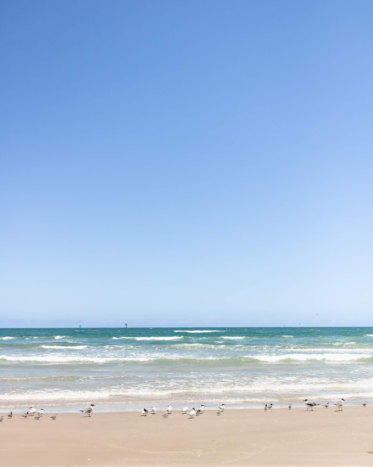 The Most Beautiful And Diverse Beach In Texas | Mustang Island State ...