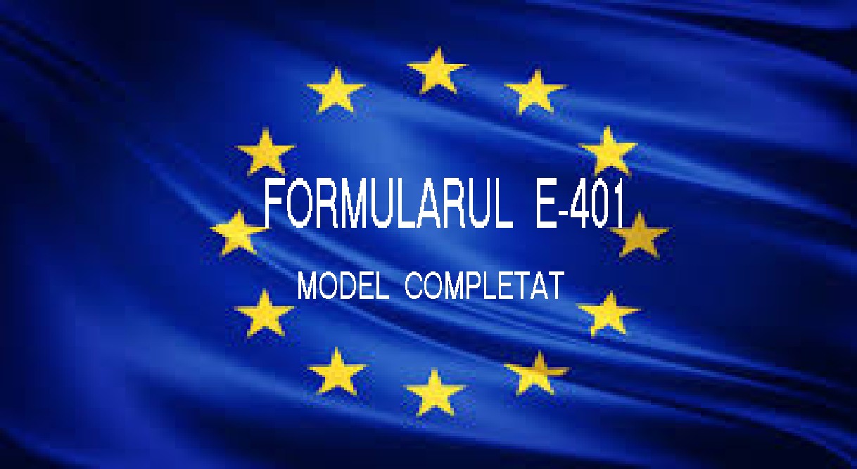 Sa lucram si sa ne distram impreuna: Model formular E-401 comlpetat