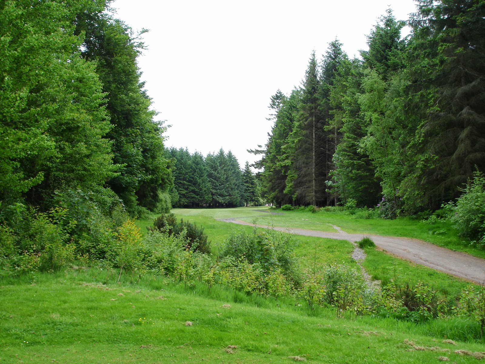 Scottish golf courses - all of them: Letham Grange GC - Glens Course ...