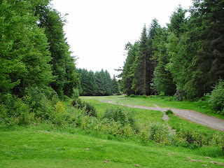 Scottish golf courses - all of them: Letham Grange GC - Glens Course ...