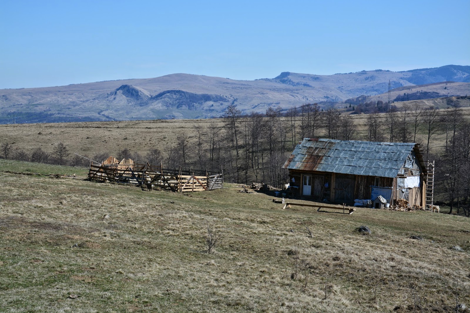 TUDOR PHOTO BLOG: Primavara in Maramures (Partea 3-Budesti),Spring in ...