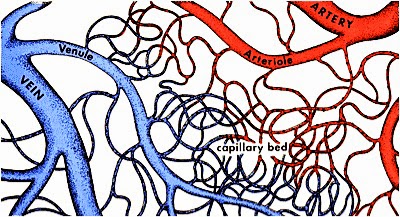 Discovering Something New -- ongoing learning: The combined length of ...