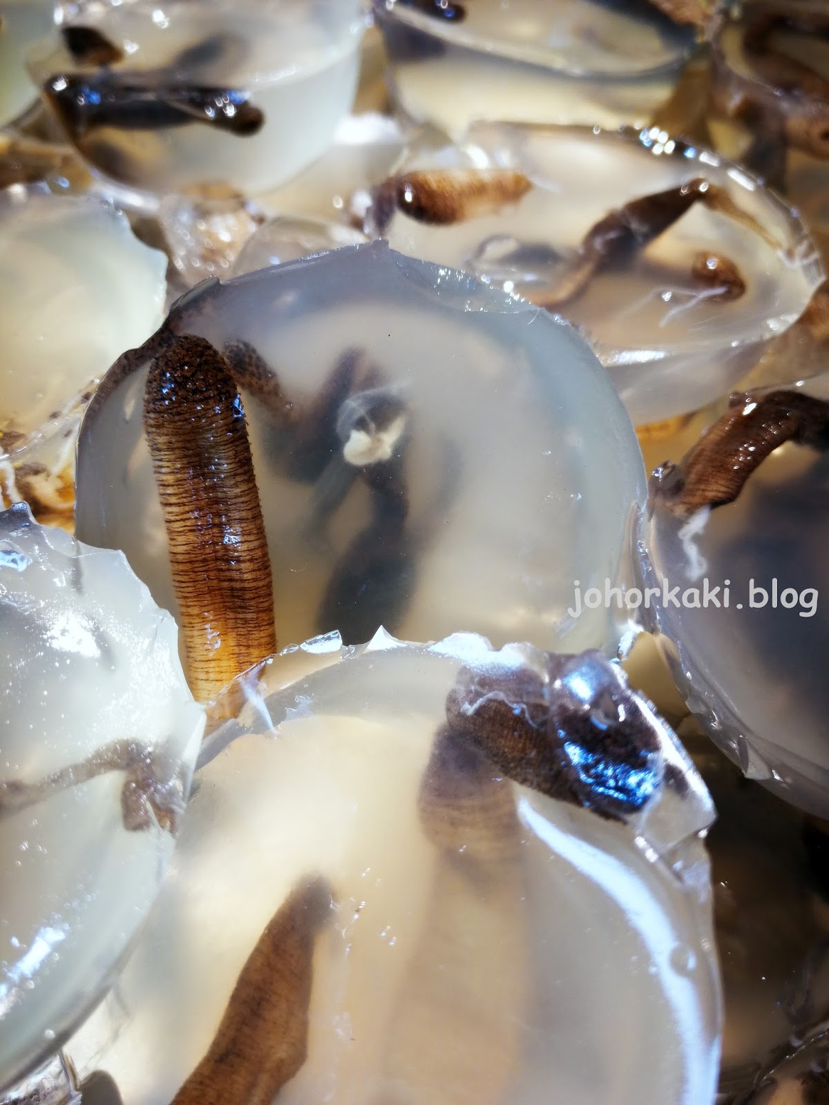 Must Try Food in Xiamen. Sand Worm or Tusun Jelly 土笋冻 |Tony Johor Kaki ...
