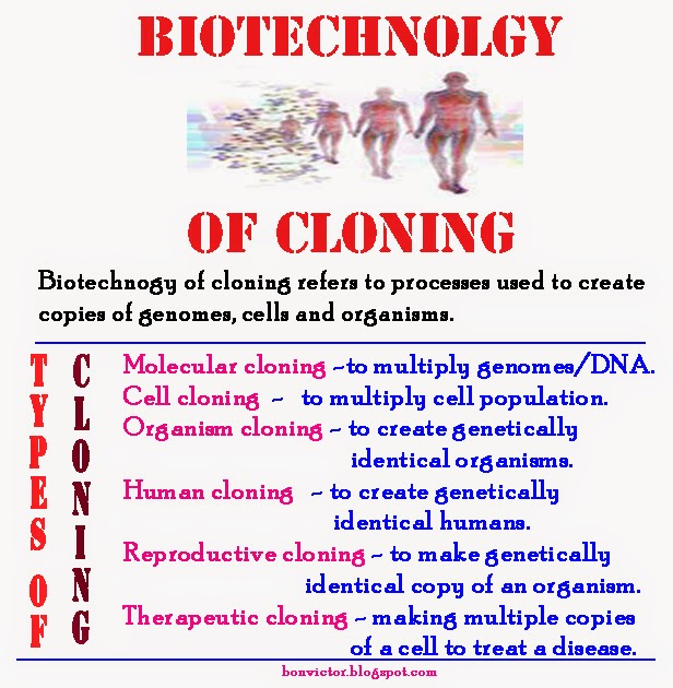 bonvictor.blogspot.com: Biotechnology of cloning