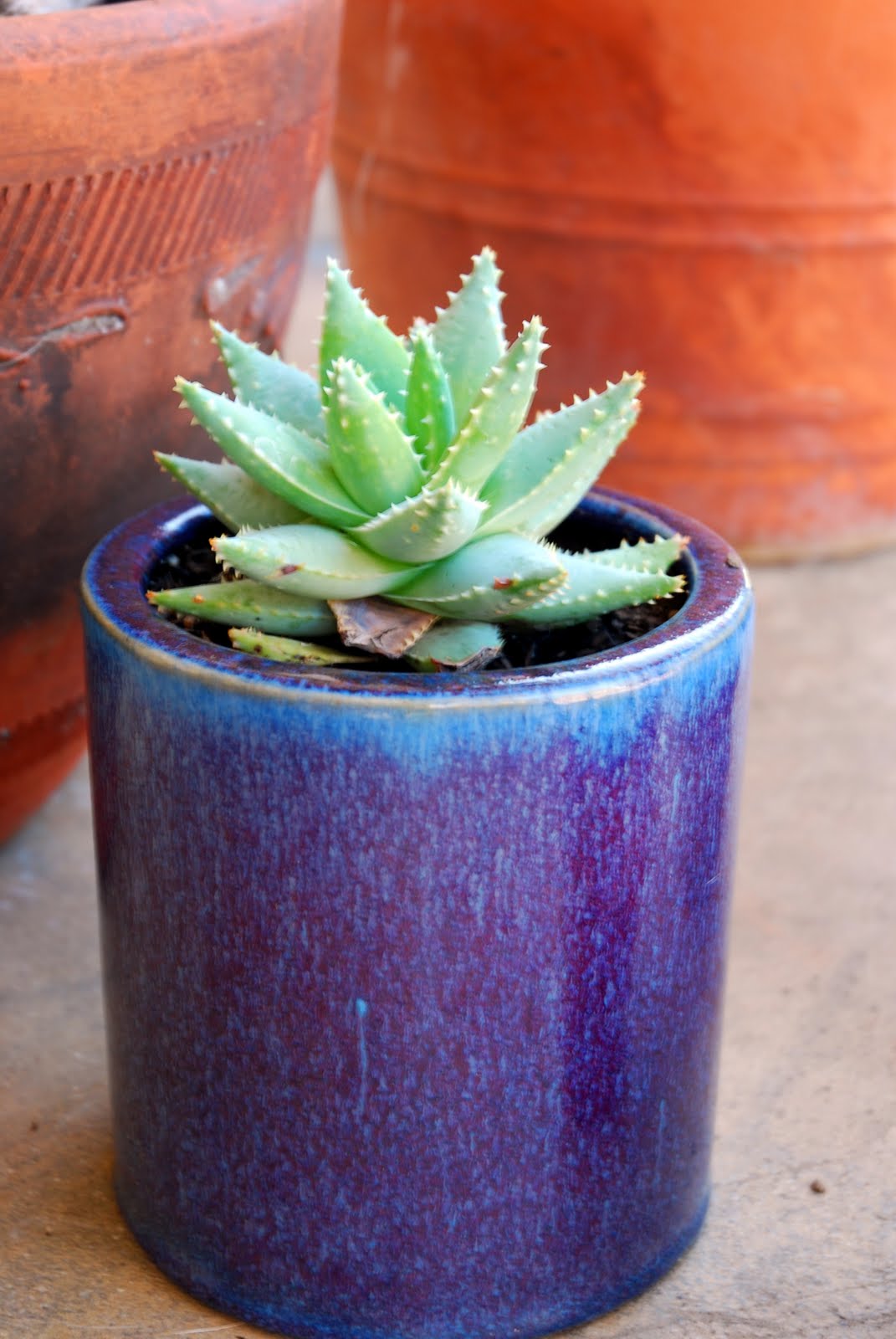 JPM Design: Pots, Pots & More Pots