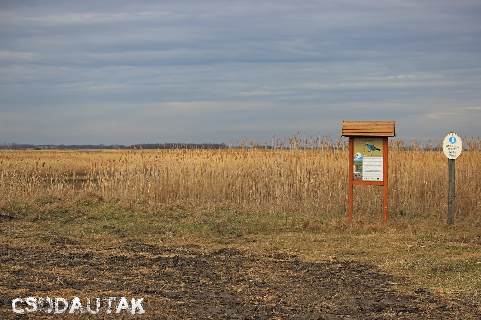 CSODAUTAK: Gátéri Fehér-tó (2019)