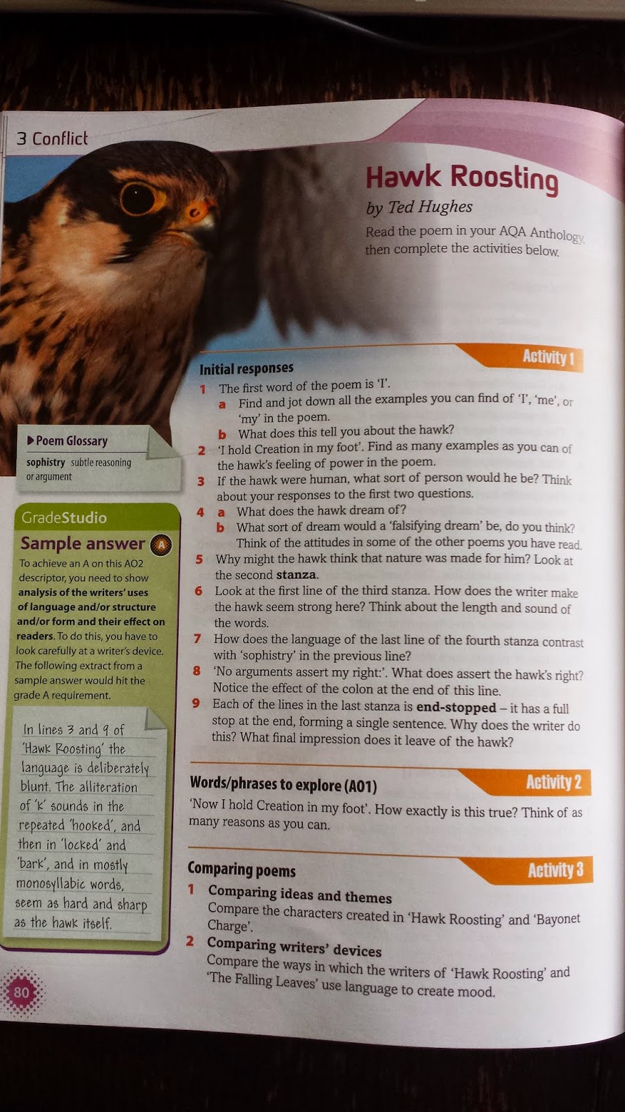 Miss Ralston's Blog: Revising Hawk Roosting
