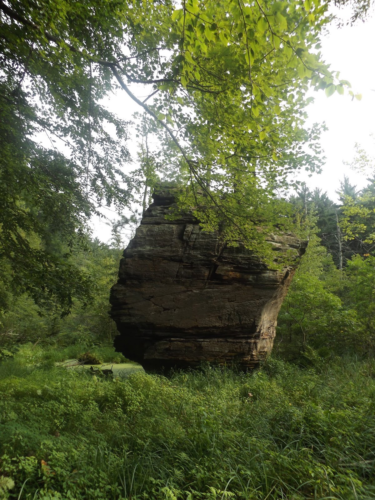 Day Hiking Trails: Great trails surround Wis.'s Adams County