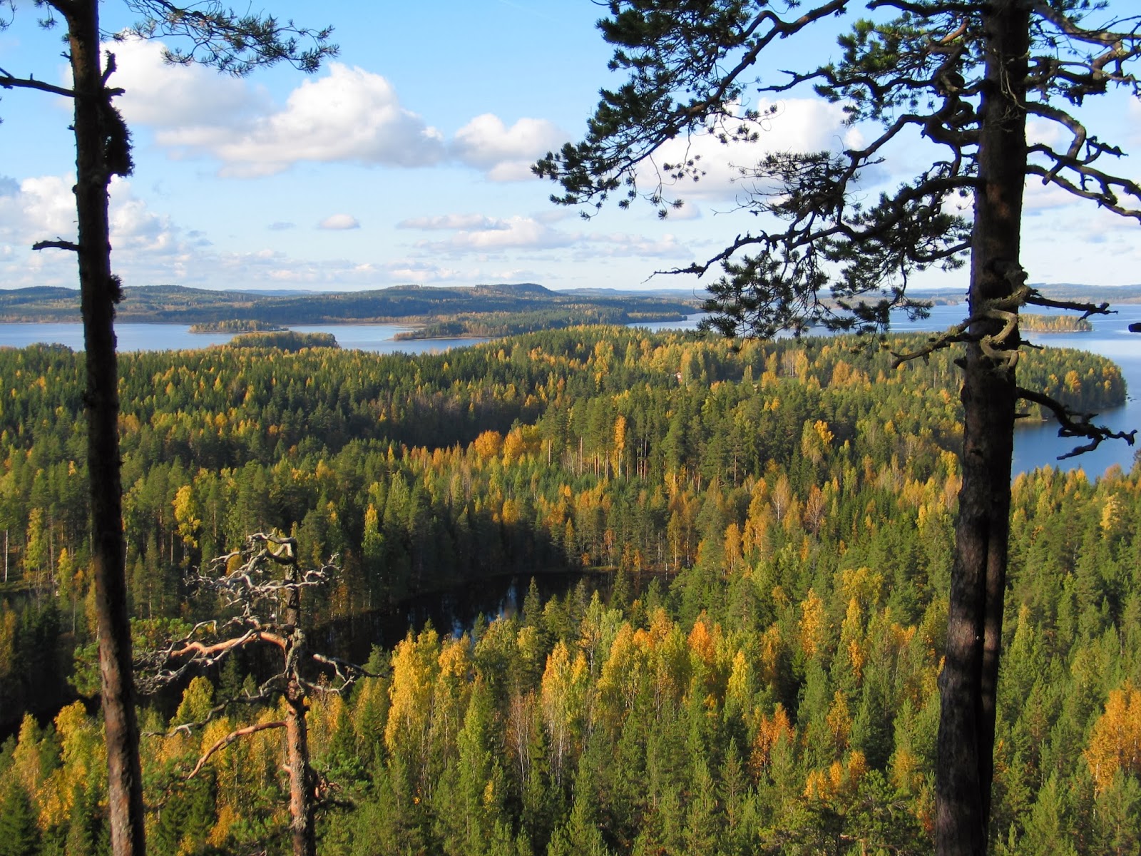 Finland Landscape