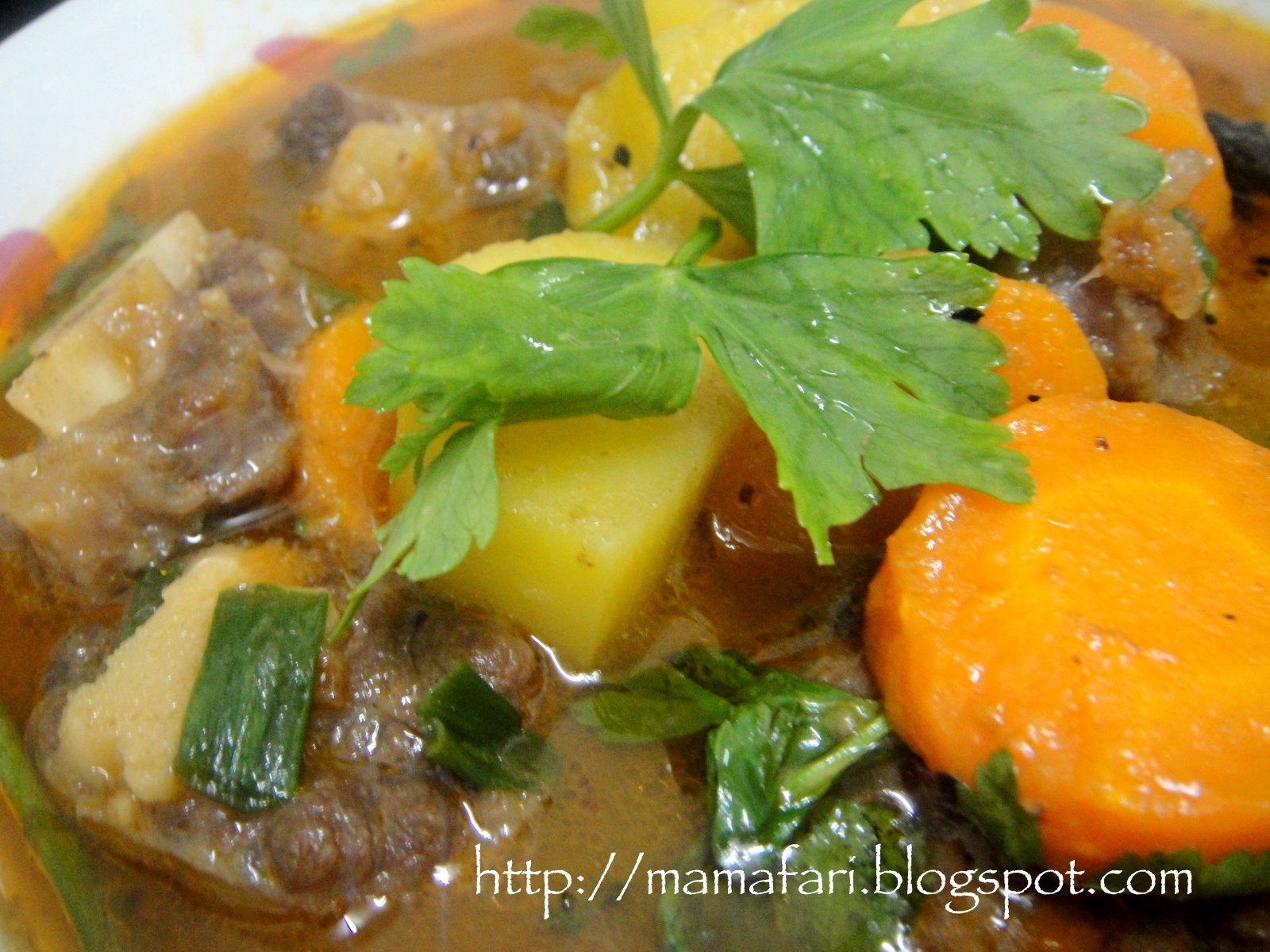 MAMA IS COOKING...: SUP EKOR LEMBU ( Chef Wan )