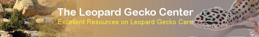 Leopard Gecko Center: BLACK PEARL LEOPARD GECKO