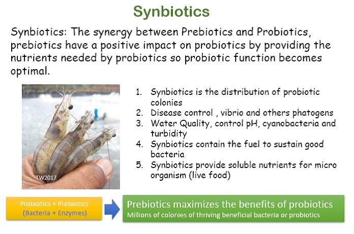 AQUACULTURE PRIMa: SYNBIOTICS - SYNERGI PREBIOTICS & PROBIOTICS