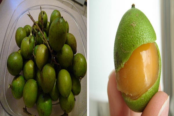 Home Remedies This Fruit Will Fight Insomnia And Boost Brain Function home-remedies-this-fruit-will-fight-insomnia-and-boost-brain-function