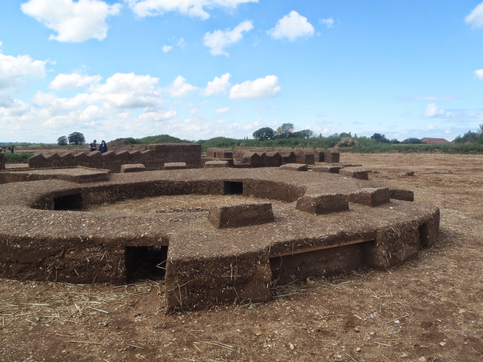 Cobbing in Cambridge: The end of cobbing party - or is it the end .... ?