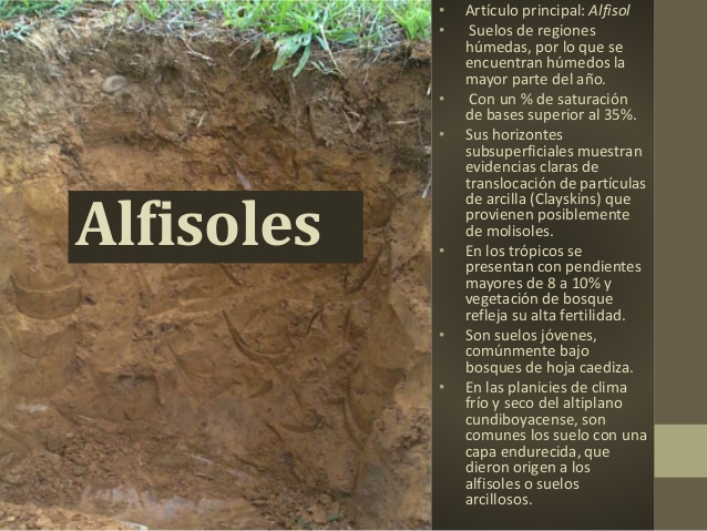 TARAGÜI PORÁ: Tipos de suelos en Corrientes