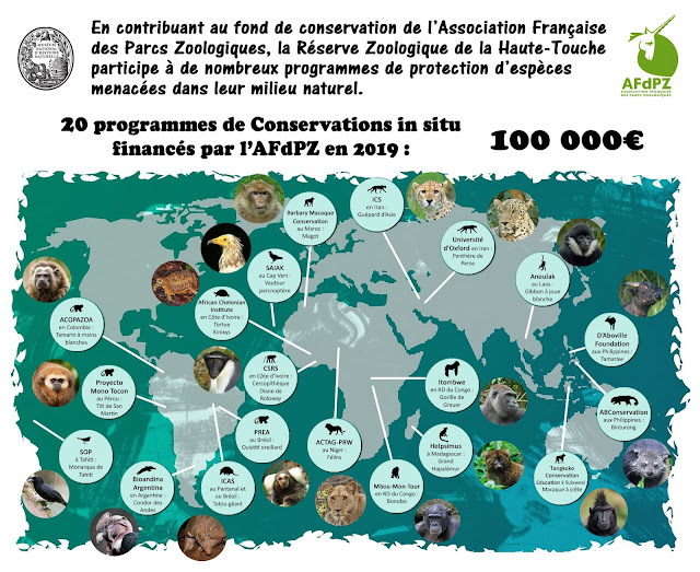 Association Française des Parcs Zoologiques : Pédagogie: Les zoos ...