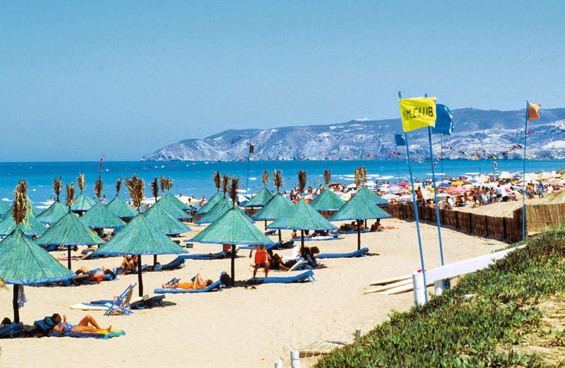 SAIDIA 2015: SAIDIA 2015