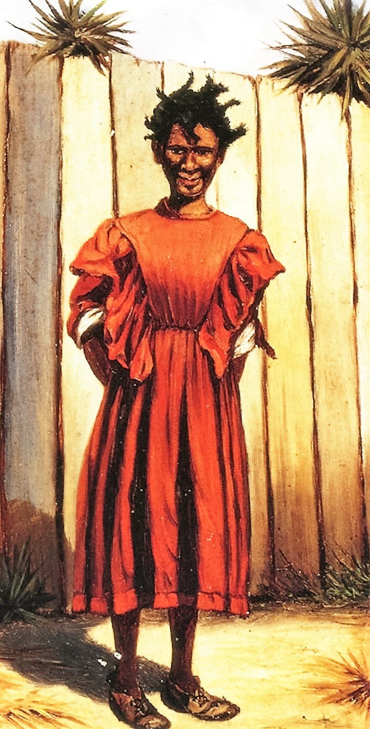 Women in the 19C United States of America: 19C Southern Emancipated ...