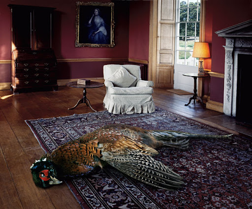 Aesthetica Magazine Blog: Two New Collections From Aesthetica | Artists ...