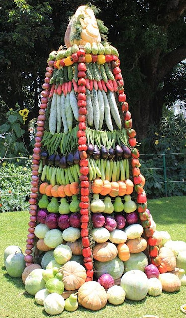 Fun Duniya: Beautiful Rose and Vegetable Show in Ooty