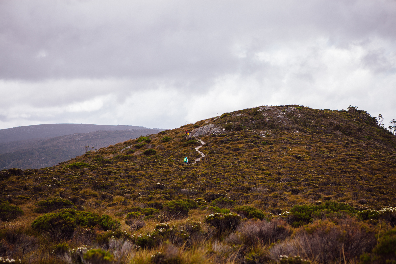 Blog - Camille Nathania: Tasmania: Wombat Pool & Marion's Lookout ...
