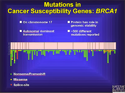 What is a BRCA test? - Jason-X