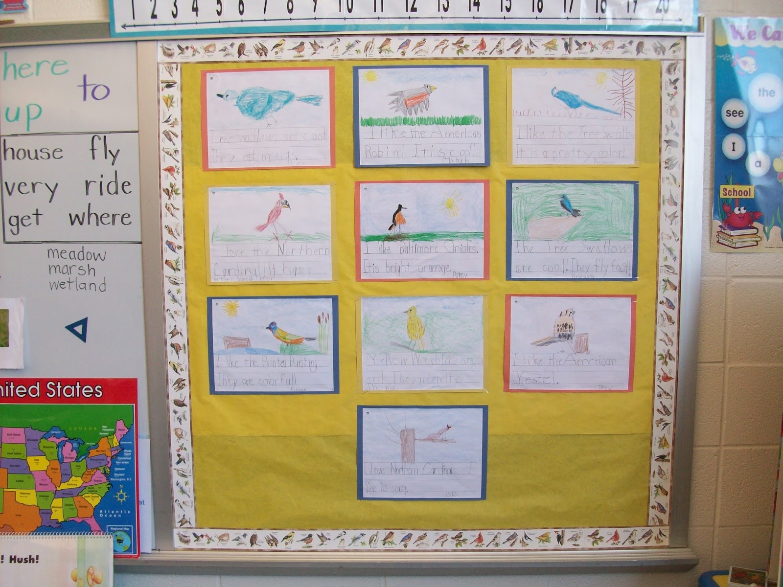 A Year in Kindergarten: Our Favorite Bird Bulletin Board