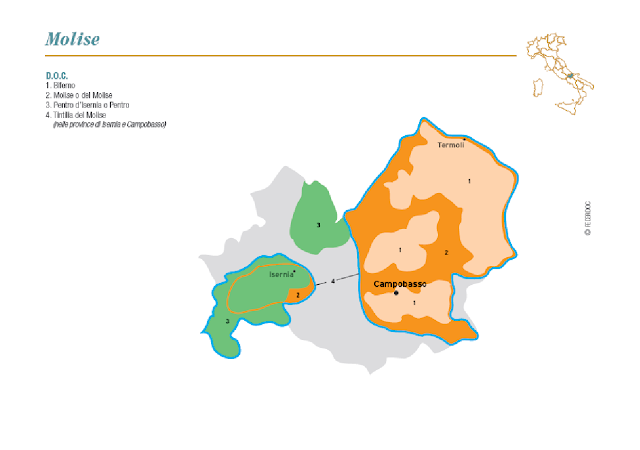 Vino Travels ~ An Italian Wine Blog: A preview into the food, wine and ...