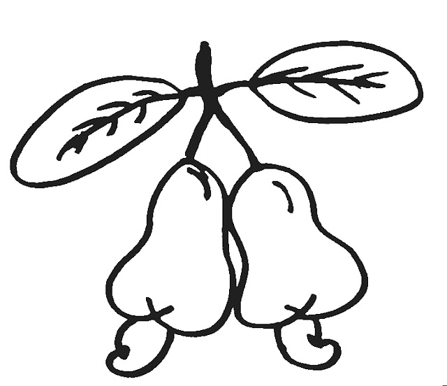 Gambar Mewarnai Buah Jambu Air