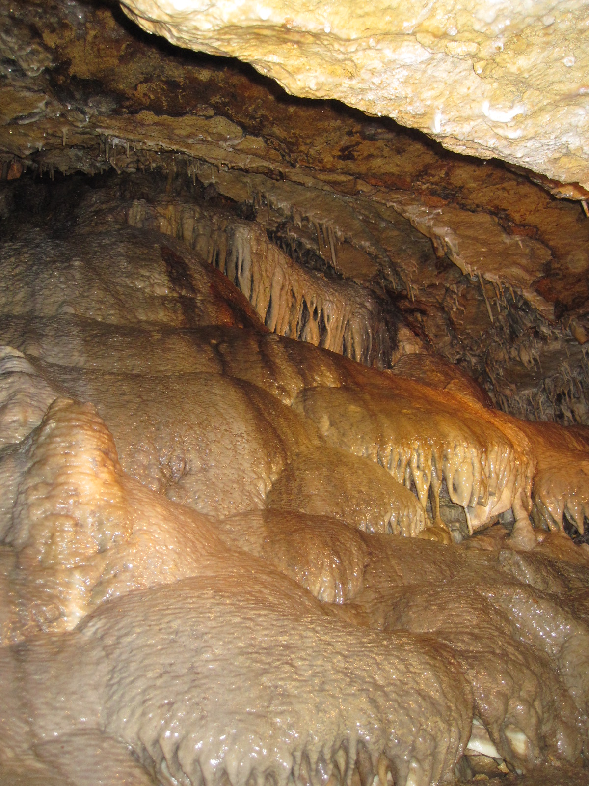 Stephan Family Fun: August 2013