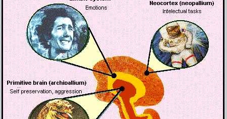Biogeonorte: Humanidade(s) V - o complexo R